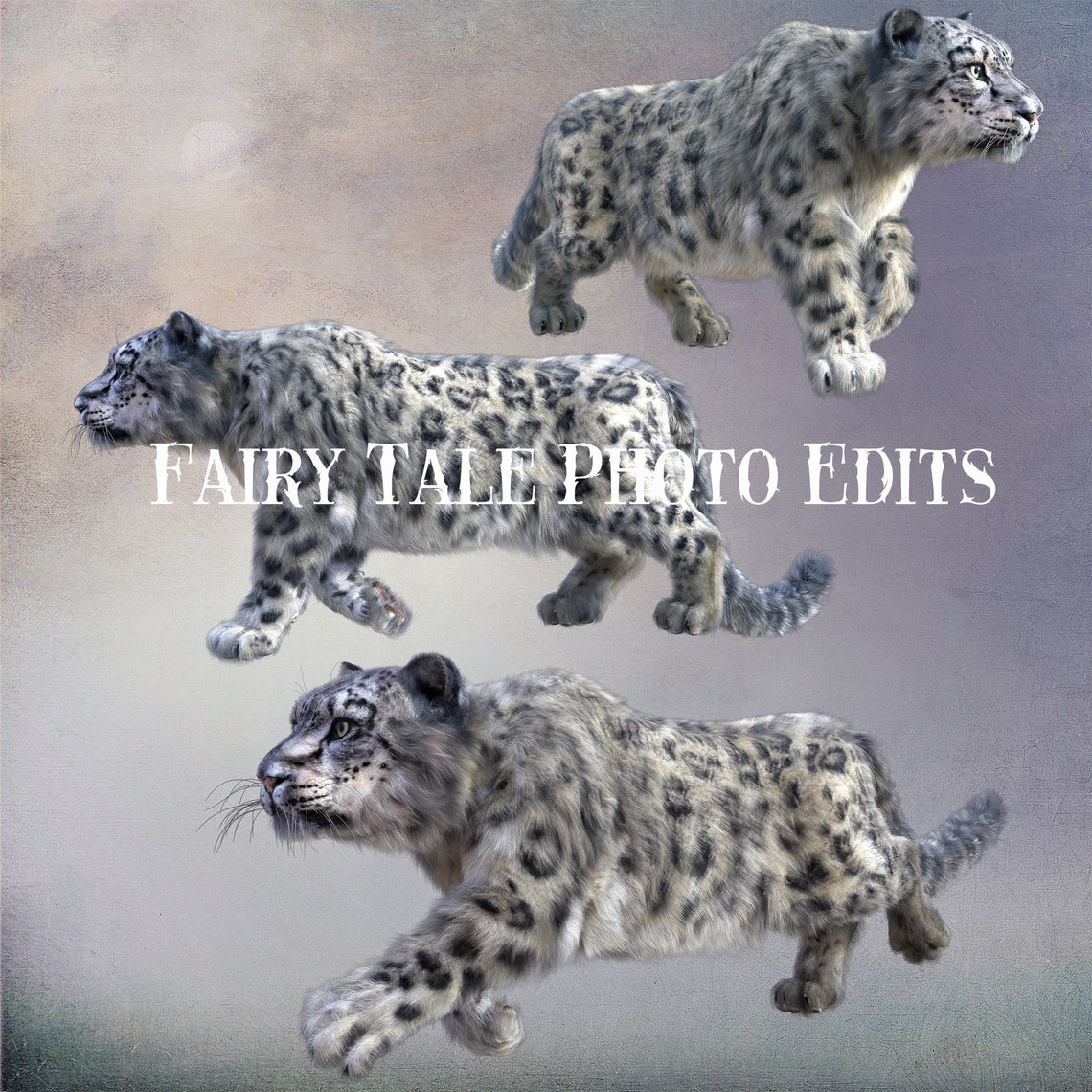 Snow Leopard Overlays Snow Leopard Png's Snow Leopard - Etsy