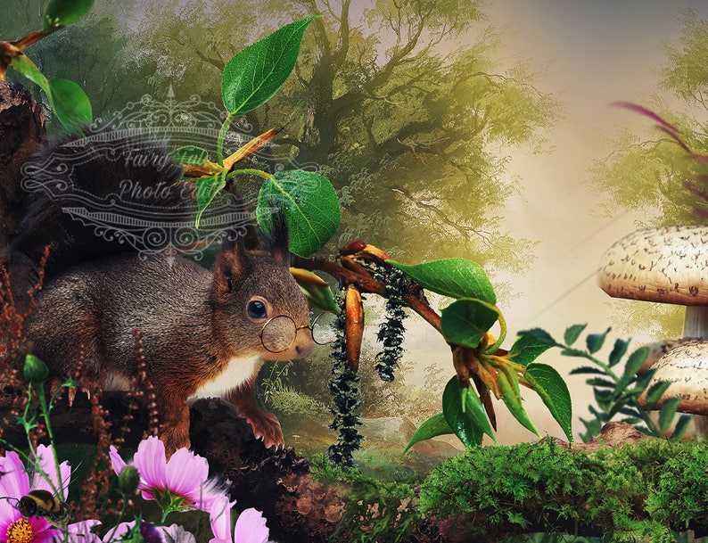 Mr Squirrel Digital Backdrop Photography Background Nature - Etsy