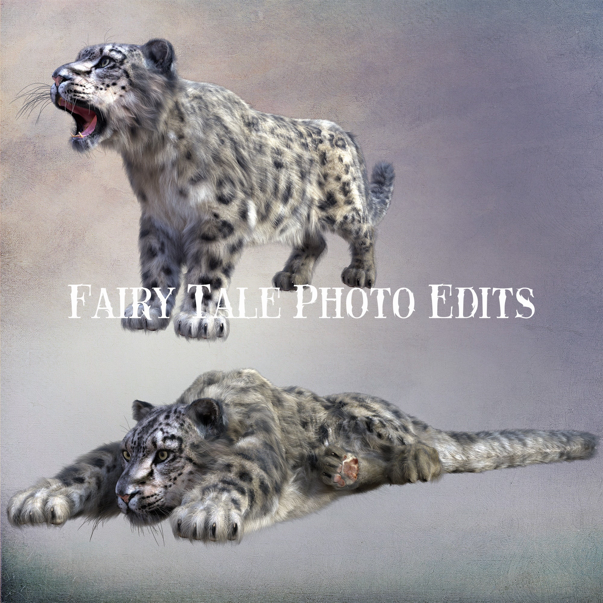 Snow Leopard Overlays Snow Leopard Png's Snow Leopard - Etsy