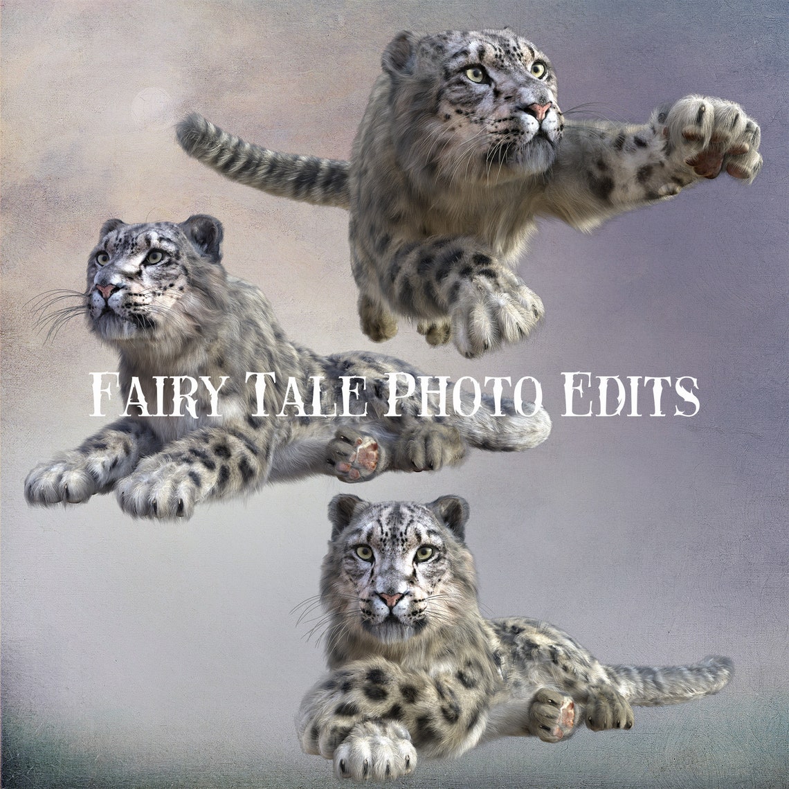 Snow Leopard Overlays Snow Leopard Png's Snow Leopard - Etsy