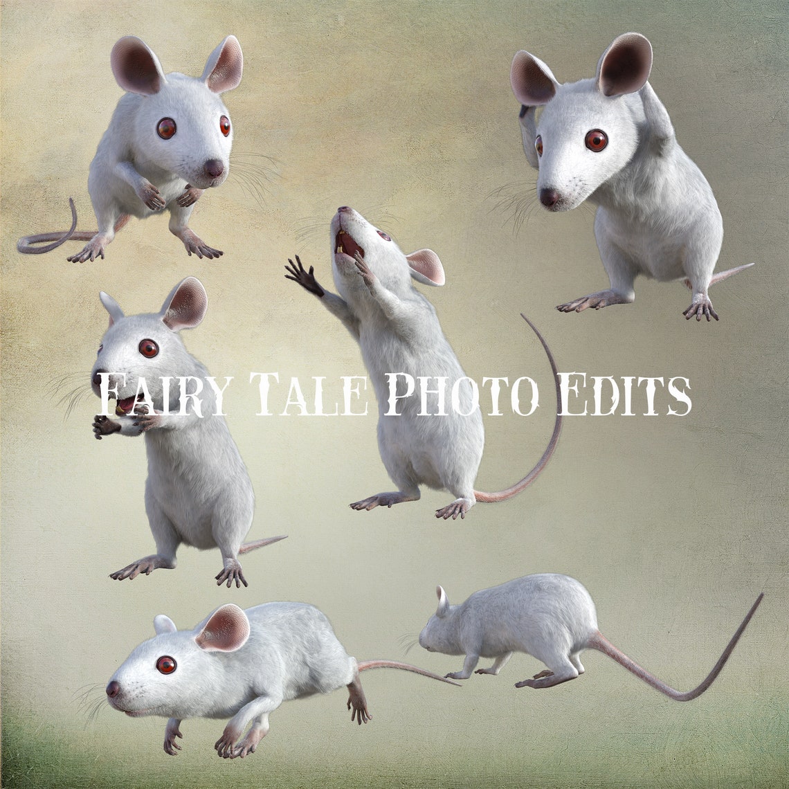 Mice Overlays Mice Png's Mouse Overlays Mouse Clip Art - Etsy