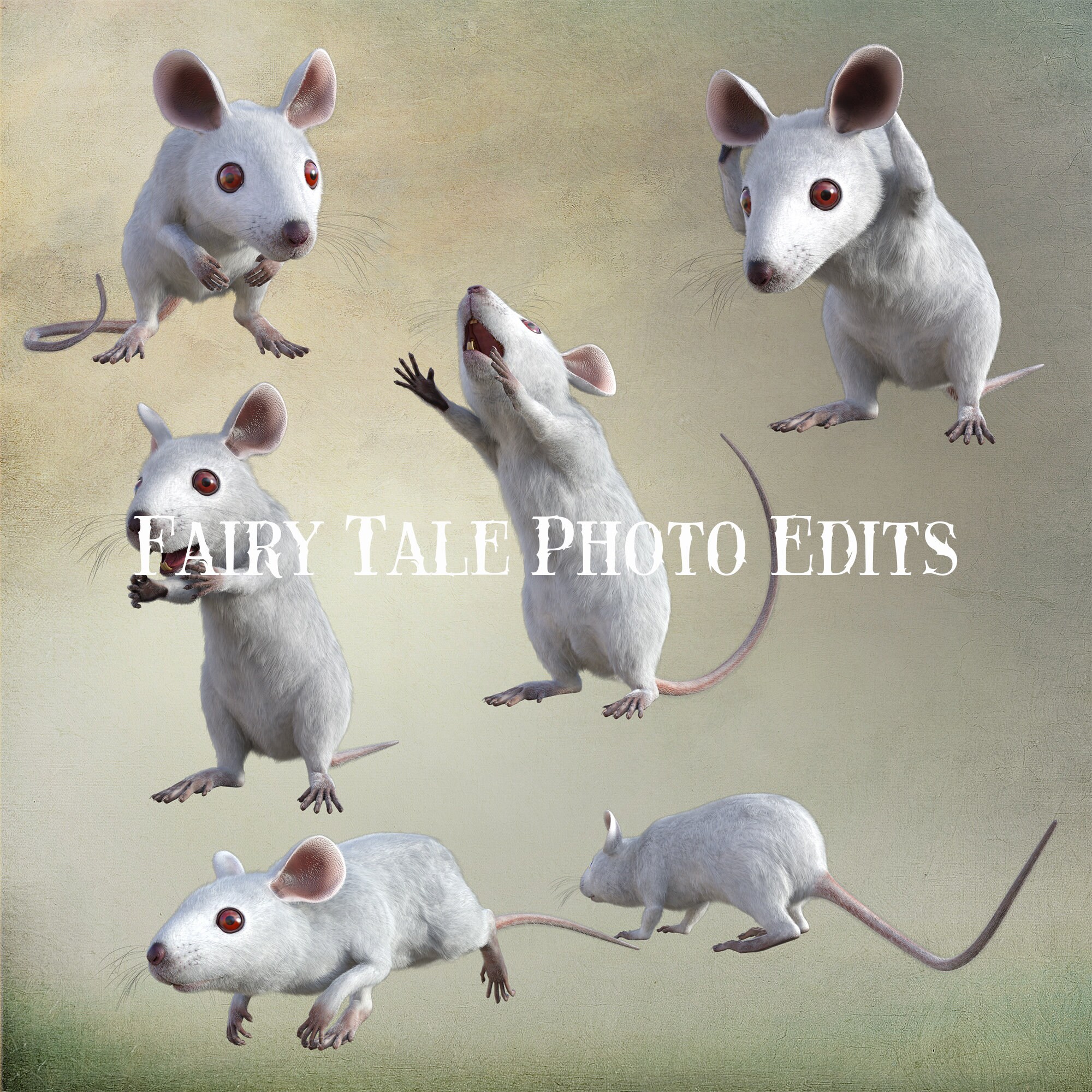 Mice Overlays Mice Png's Mouse Overlays Mouse Clip Art - Etsy