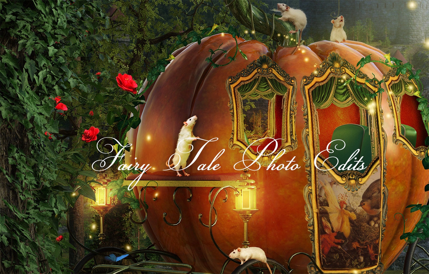 Pumpkin Coach Digital Backdrop Cinderella's Pumpkin Coach - Etsy