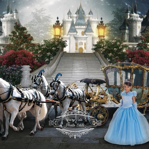 Princess Cinderella Digital Backdrop - Etsy