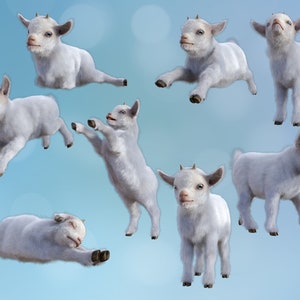 24 Little Goat's PNG Overlays Goat Overlays Goat - Etsy