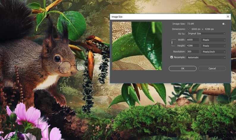 Mr Squirrel Digital Backdrop Photography Background Nature - Etsy