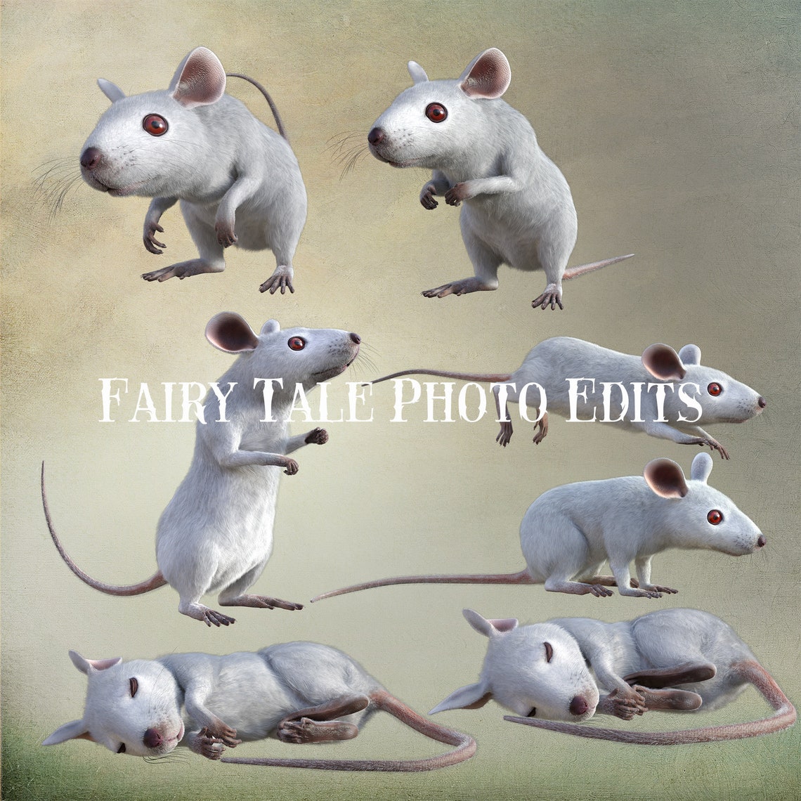 Mice Overlays Mice Png's Mouse Overlays Mouse Clip Art - Etsy