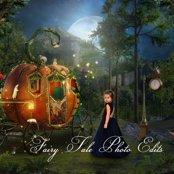 Pumpkin Coach - Etsy