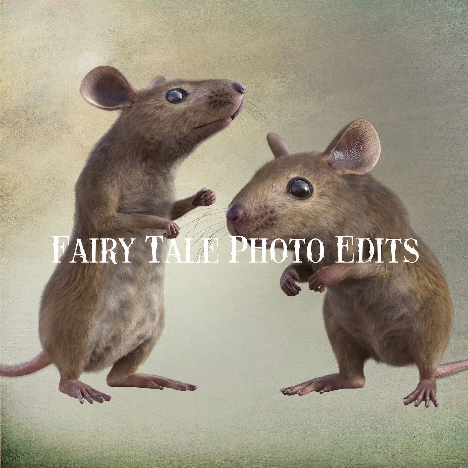Mice Overlays Mice Png's Mouse Overlays Mouse Clip Art - Etsy