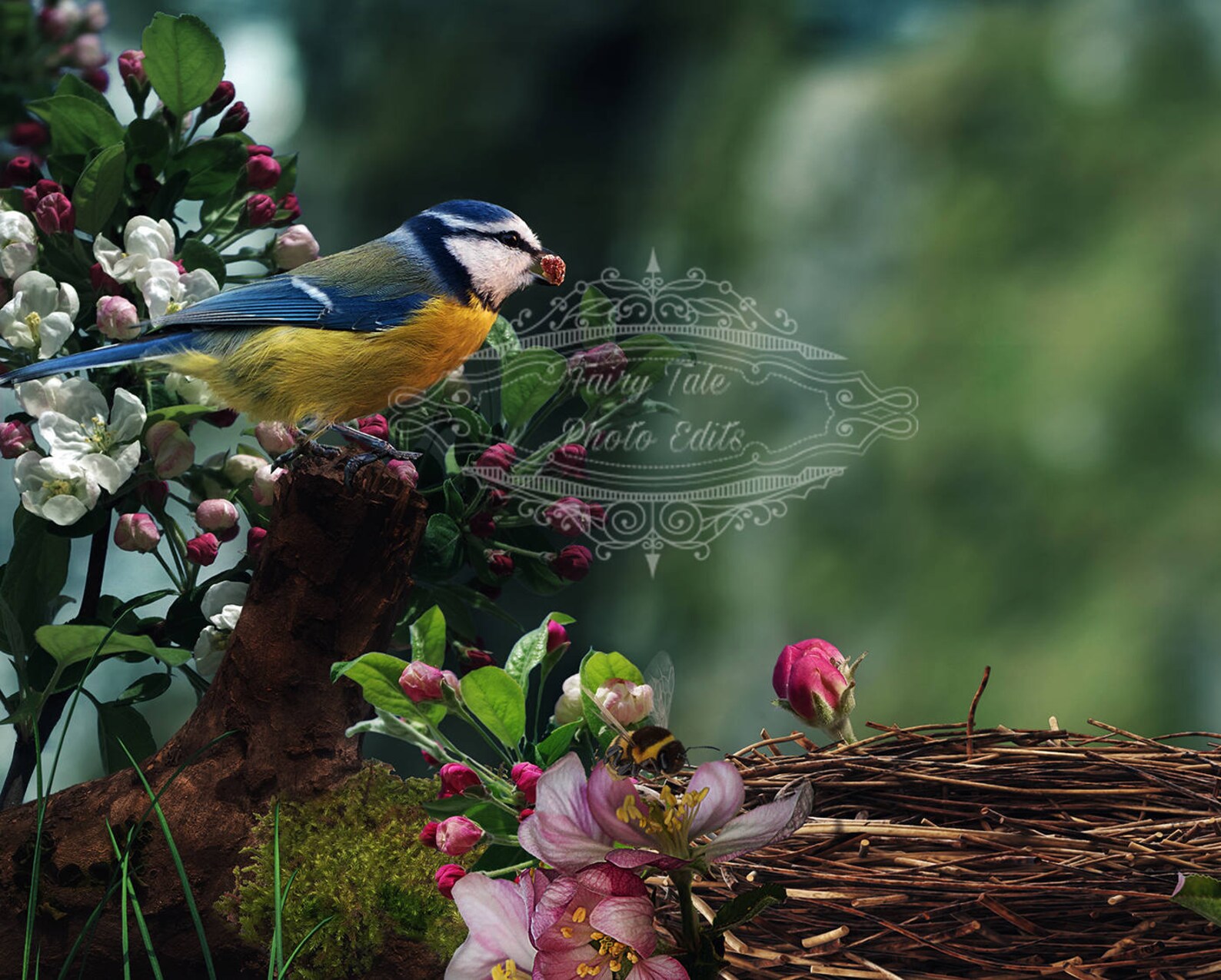 Fairy Nest Digital Backdrop Digital Background New Born - Etsy UK