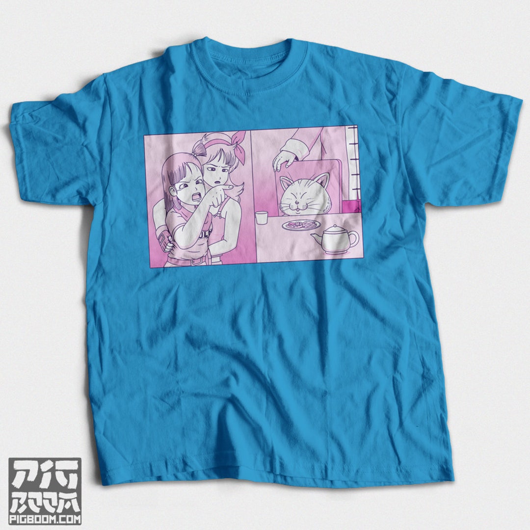 Girl Pointing at Cat | Woman Pointing at Cat Meme | 80's Anime ...