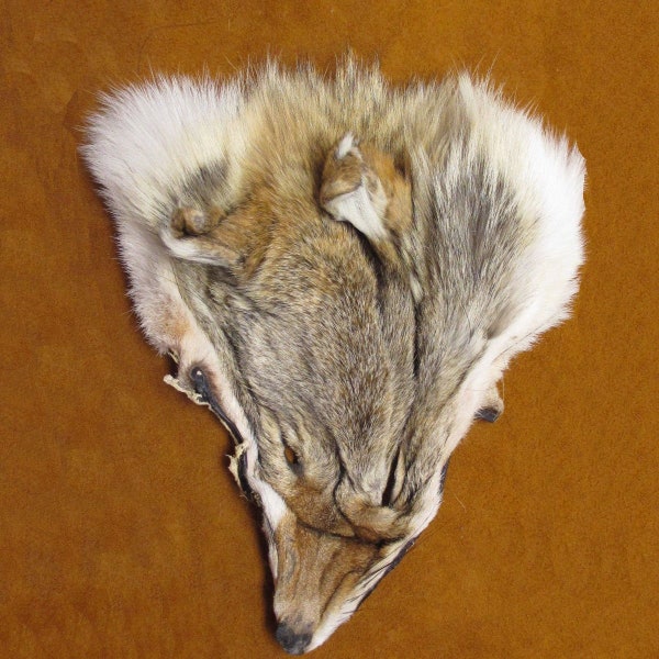 Therian Mask Coyote - Etsy