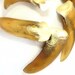 10 or 100 Snapping Turtle Claws, Animal Claws, Reptile Claws, Oddities ...