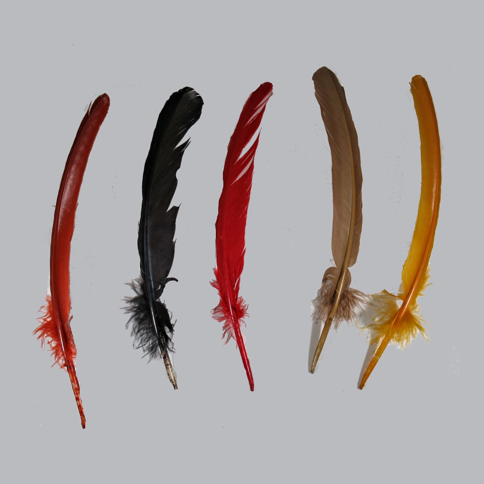 Turkey Feathers Pkg of 15 Fall Colors Big Feathers Dyed | Etsy