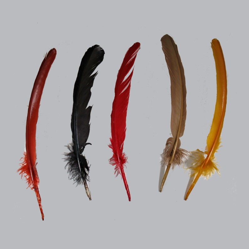 Turkey Feathers Pkg of 15 Fall Colors Big Feathers Dyed | Etsy