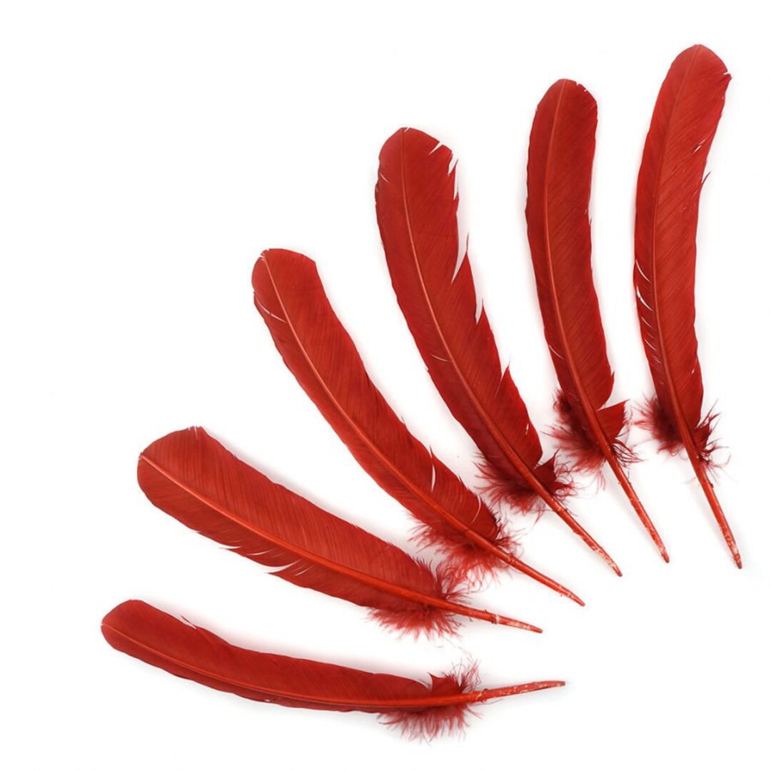 Red Umber Dyed Turkey Feathers, Pkg of 4 Burnt Umber Feathers, Large ...