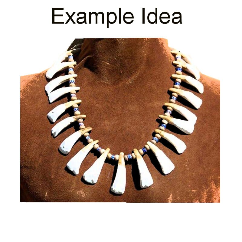 100 Wholesale Real Buffalo Tooth Bulk Pricing Bison Tooth - Etsy Sweden