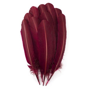 Burgandy Turkey Feathers, Pkg of 4, Burgandy Quill Feather, Burgandy ...