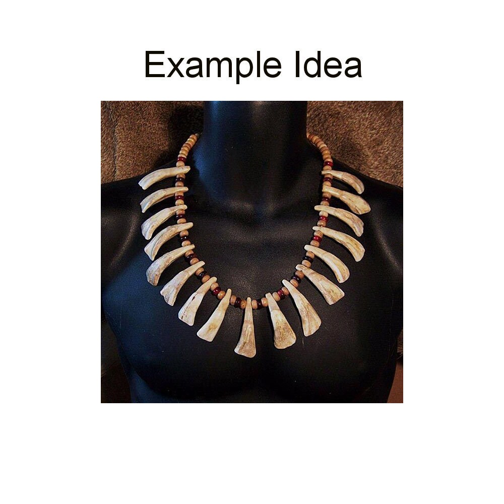 100 Wholesale Antiqued Buffalo Tooth Real Bison Tooth Animal - Etsy Sweden