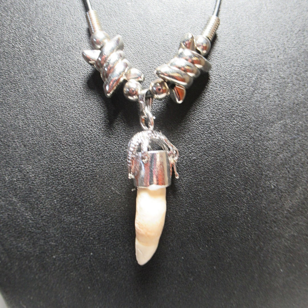 1 to 1.5 Inch Alligator Tooth Necklace, Gator Tooth Necklace, Alligator ...