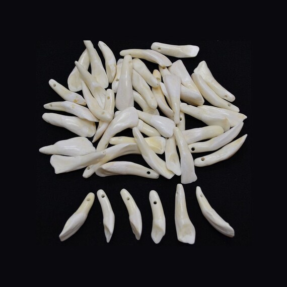 100 Wholesale Real Buffalo Tooth Bulk Pricing Bison tooth | Etsy