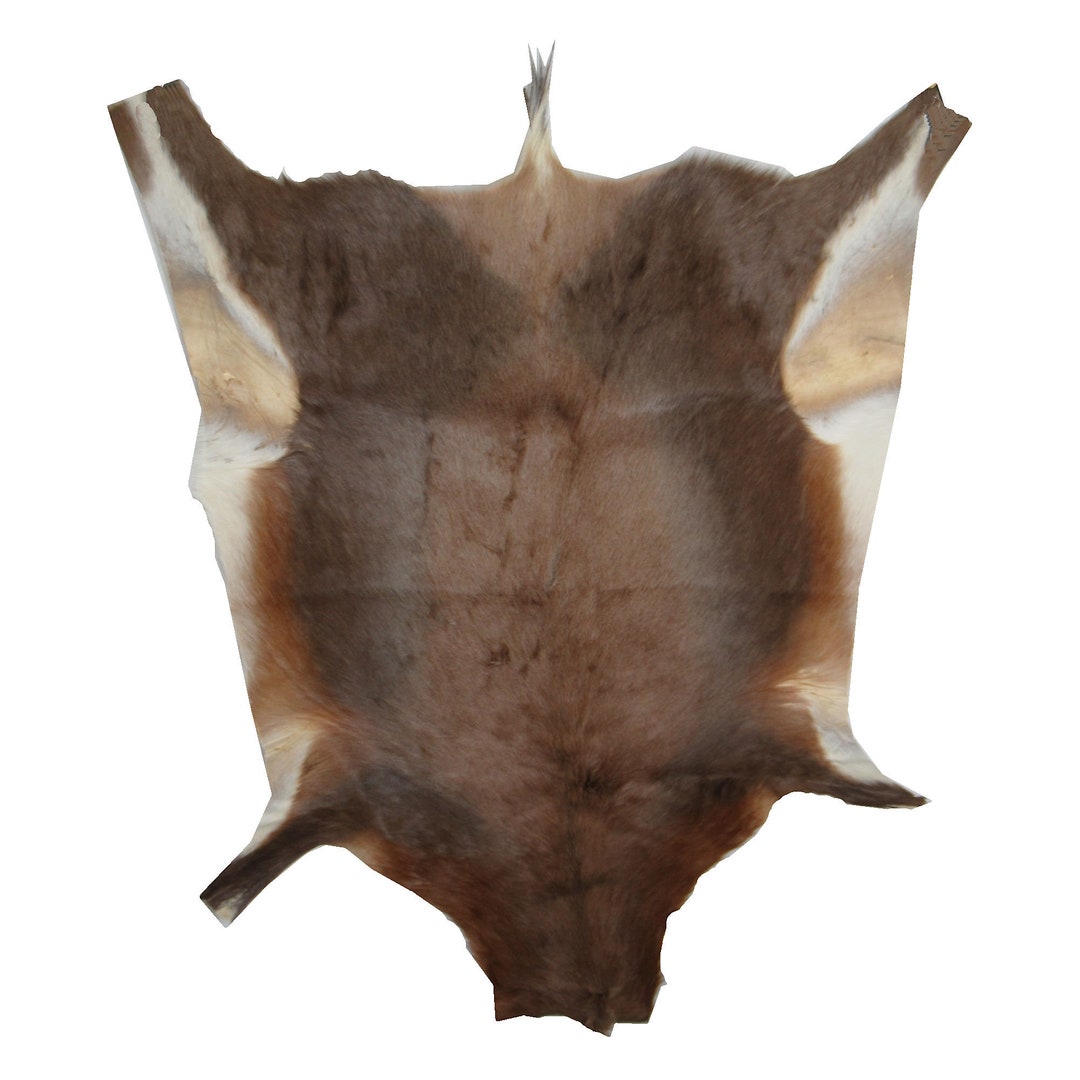 Impala Skin Rug, Impala Hide, African Antelope, 2 Grade Craft Fur - Etsy