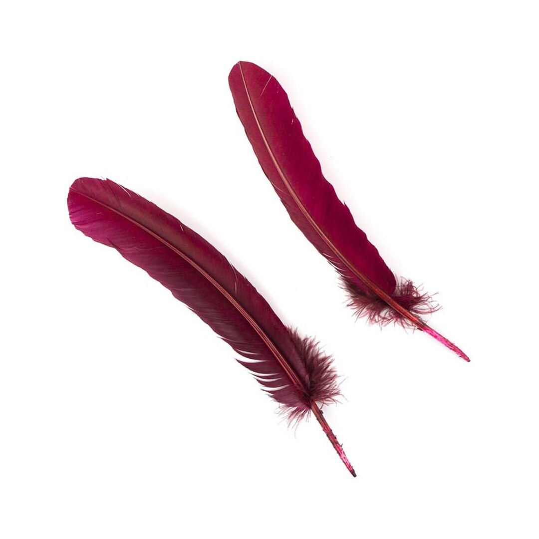 Burgandy Turkey Feathers, Pkg of 4, Burgandy Quill Feather, Burgandy ...