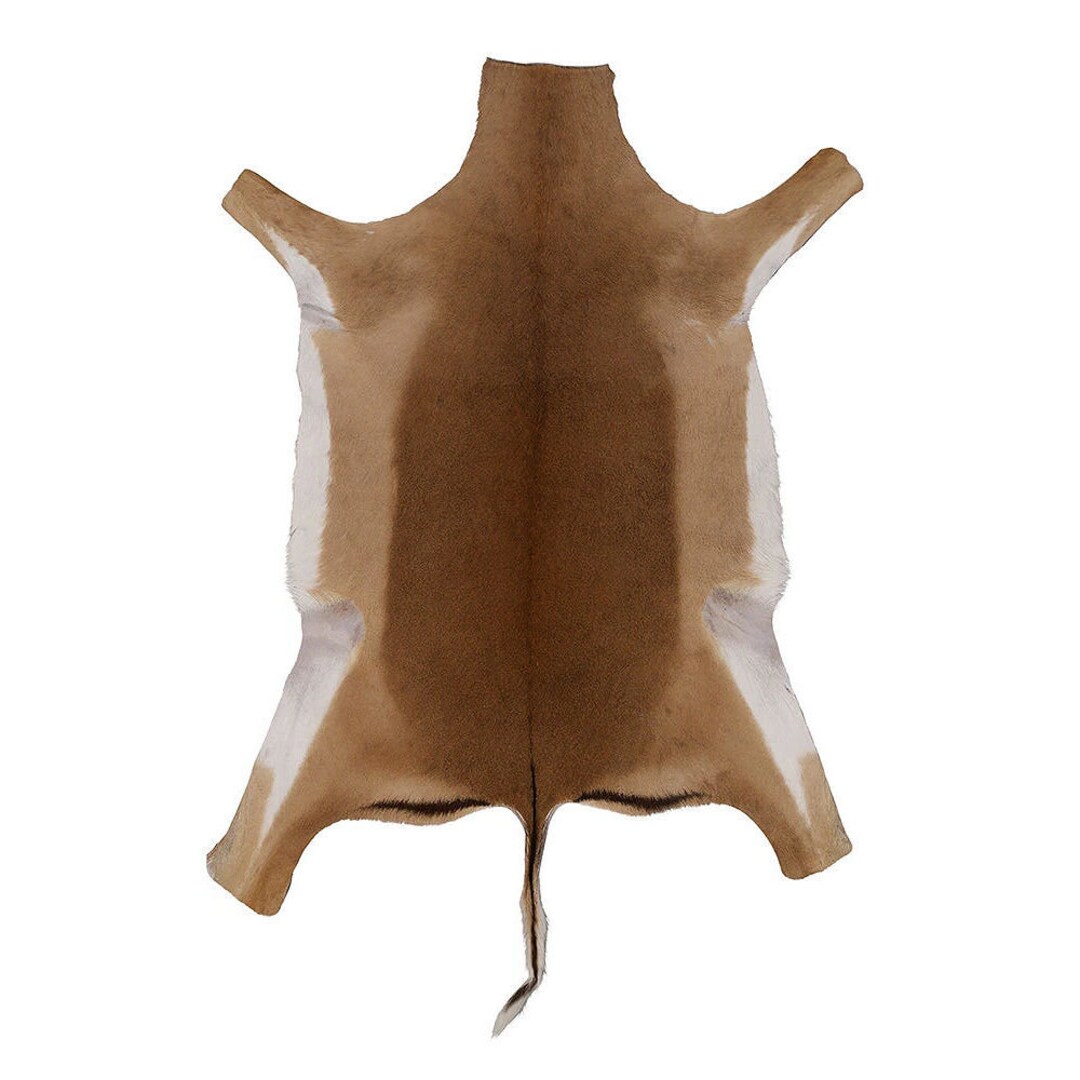 Impala Skin Rug, Impala Hide, African Antelope, 2 Grade. craft fur ...