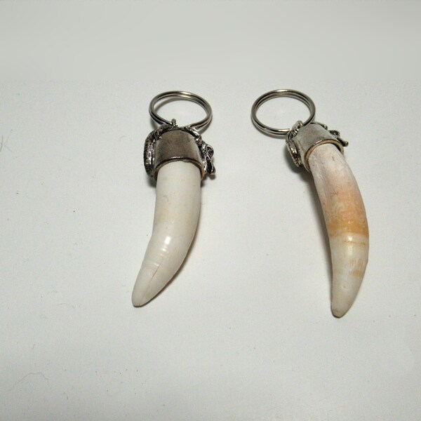 Alligator Chain - Etsy