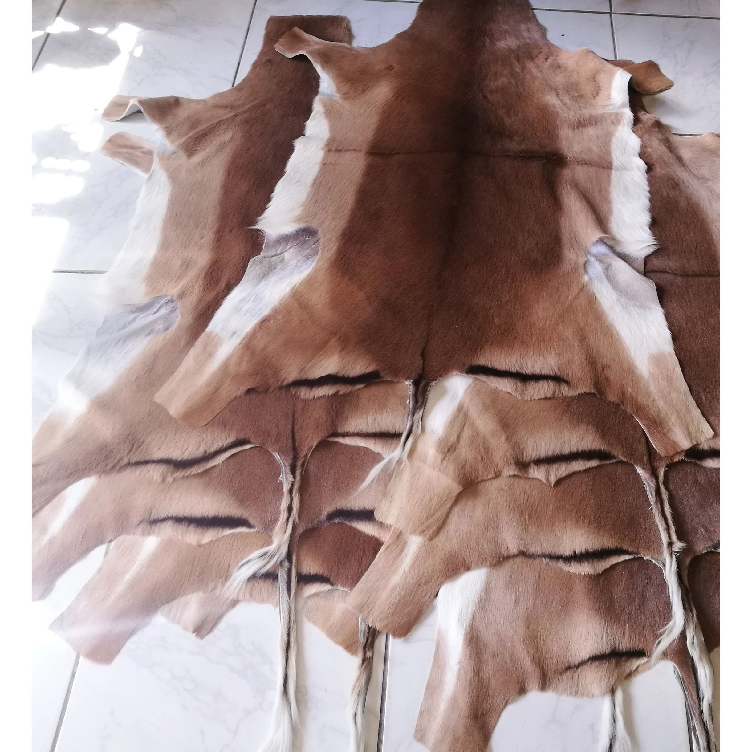 Impala Skin Rug Impala Hide African Antelope 2 Grade. - Etsy Nederland