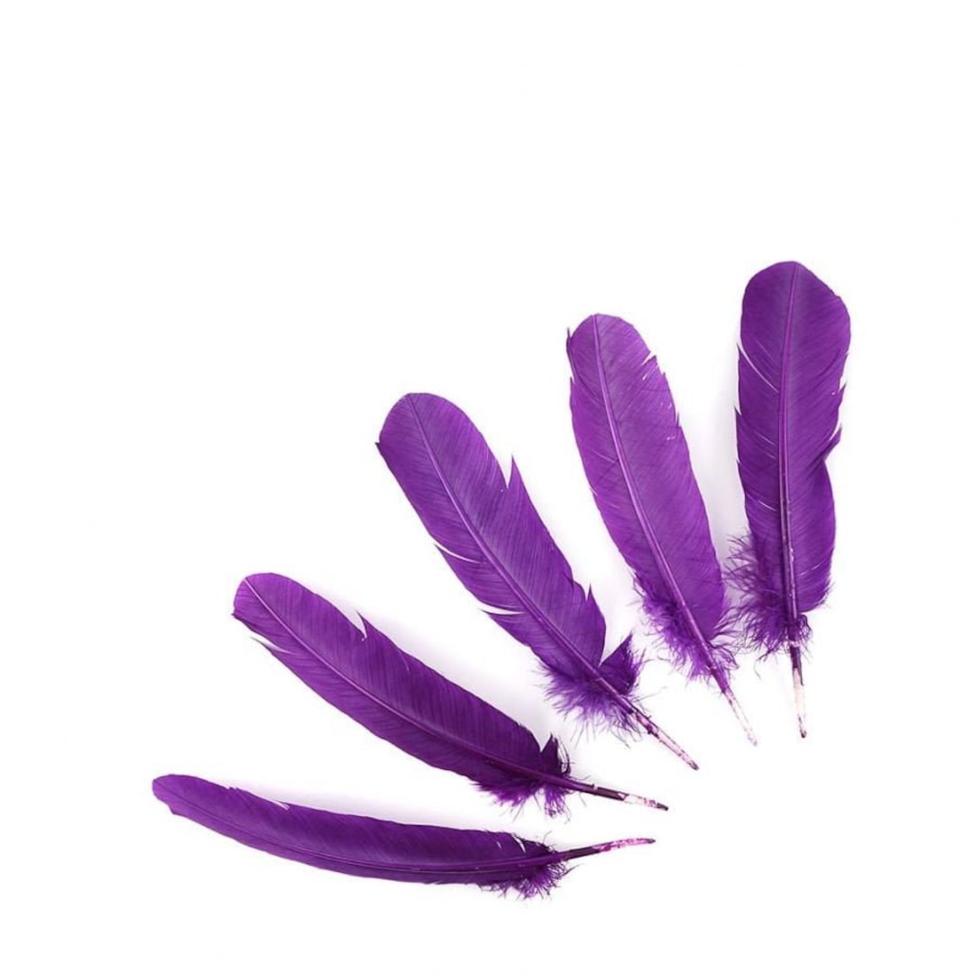 Purple Dyed Turkey Feathers, Pkg of 4 Feathers, Large Feathers, Colored ...
