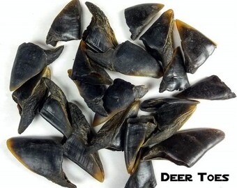 Deer Toes - Etsy