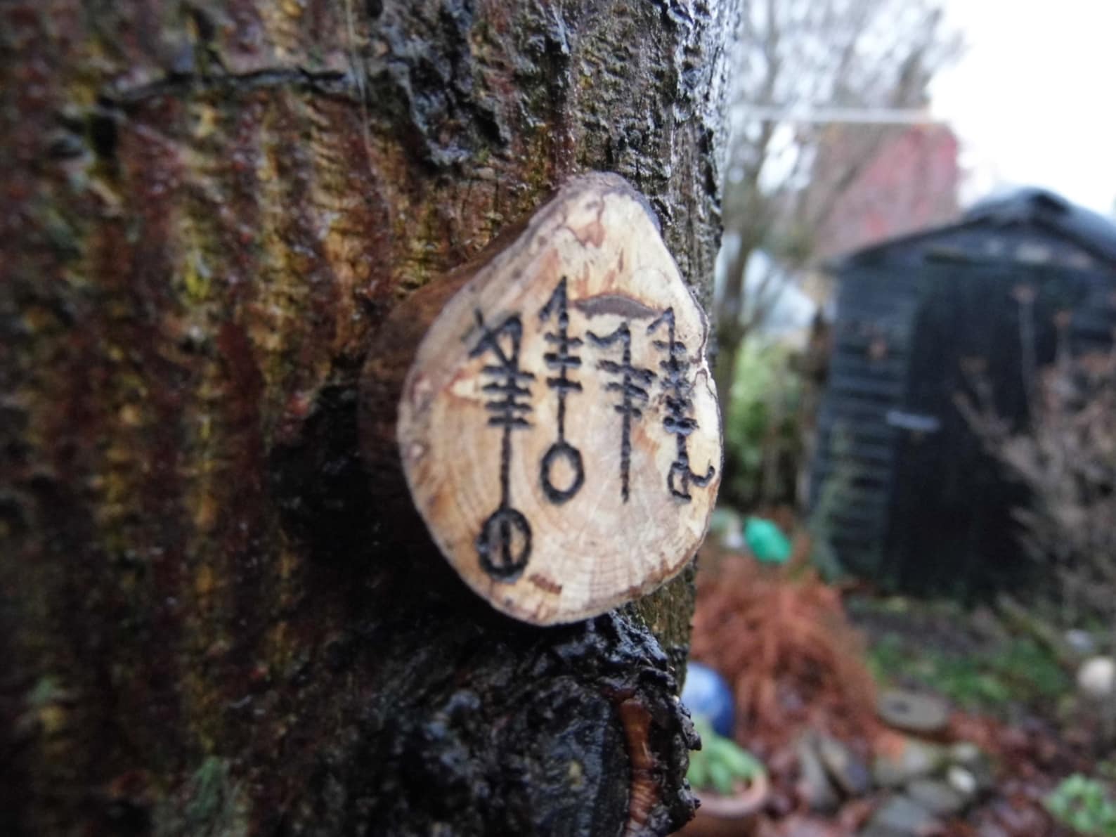 Svefnthorn - Sleep Thorn Rune - Etsy