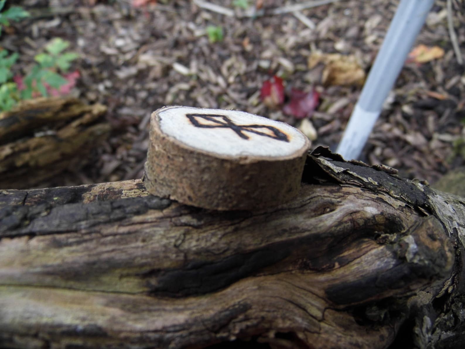 Peace Nordic Rune - Etsy