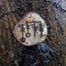 Svefnthorn - Sleep Thorn Rune - Etsy