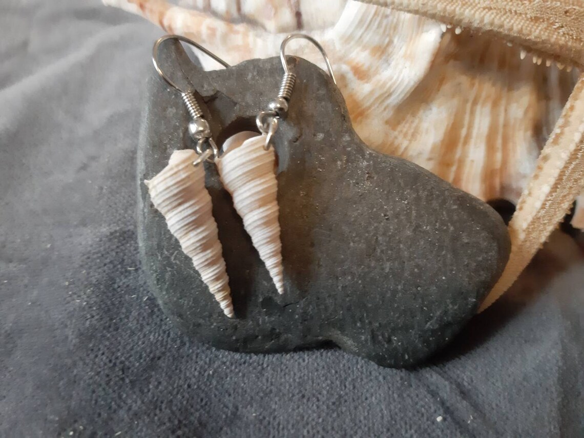Baby Unicorn Horn Shell Earrings - Etsy Australia
