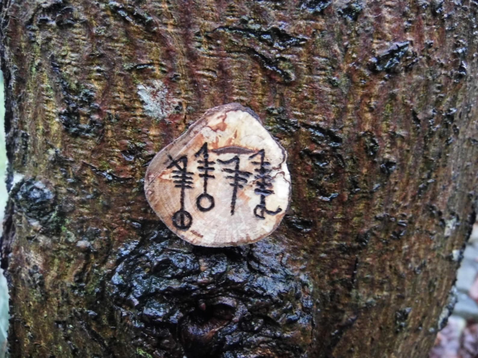 Svefnthorn Sleep Thorn Rune - Etsy