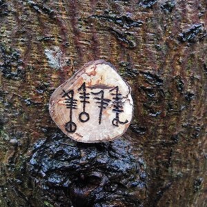 Svefnthorn - Sleep Thorn Rune - Etsy