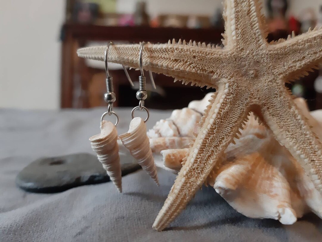 Baby Unicorn Horn Shell Earrings - Etsy Australia