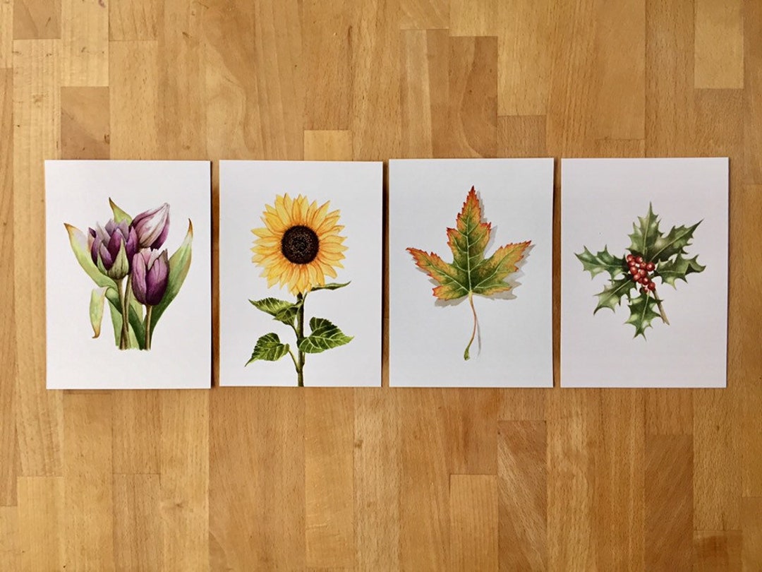 Four Season Watercolor Set Four Season Nature Prints Tulip Sunflower ...