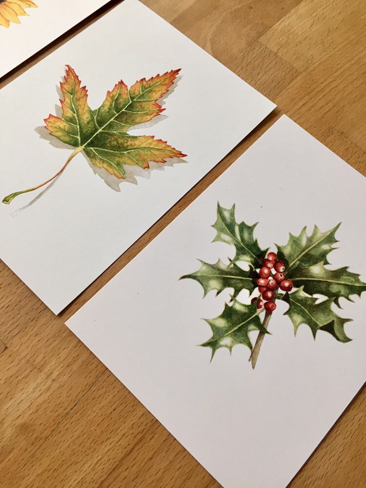 Four Season Watercolor Set Four Season Nature Prints Tulip - Etsy