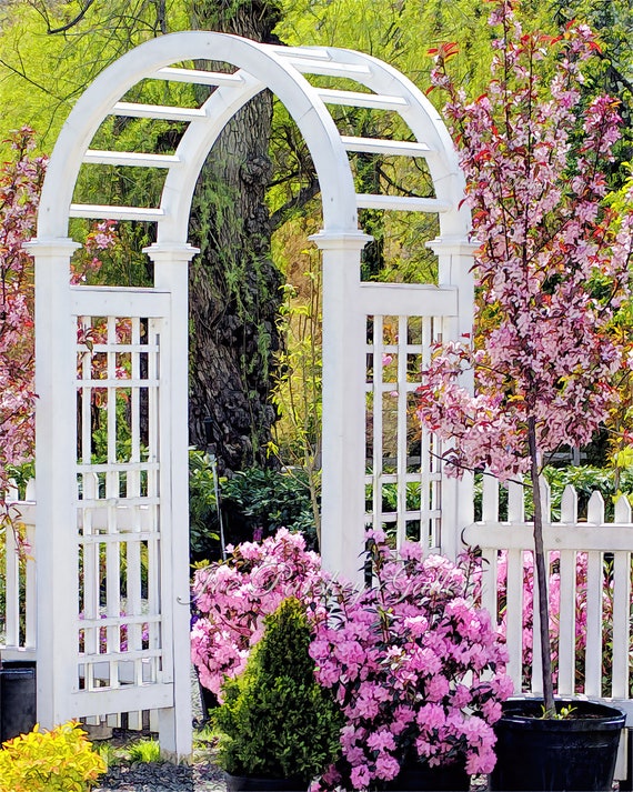 Garden Arbor Entry Paintings