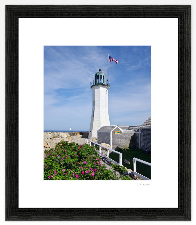 Beach Roses at Scituate Light, Lighthouse Photography, Beach House ...