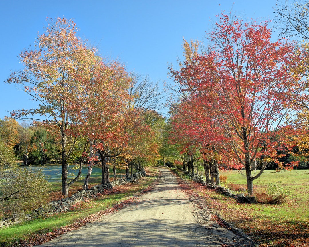 Peak Autumn Foliage Color, East Dorset, Vermont, Fall Foliage, October ...