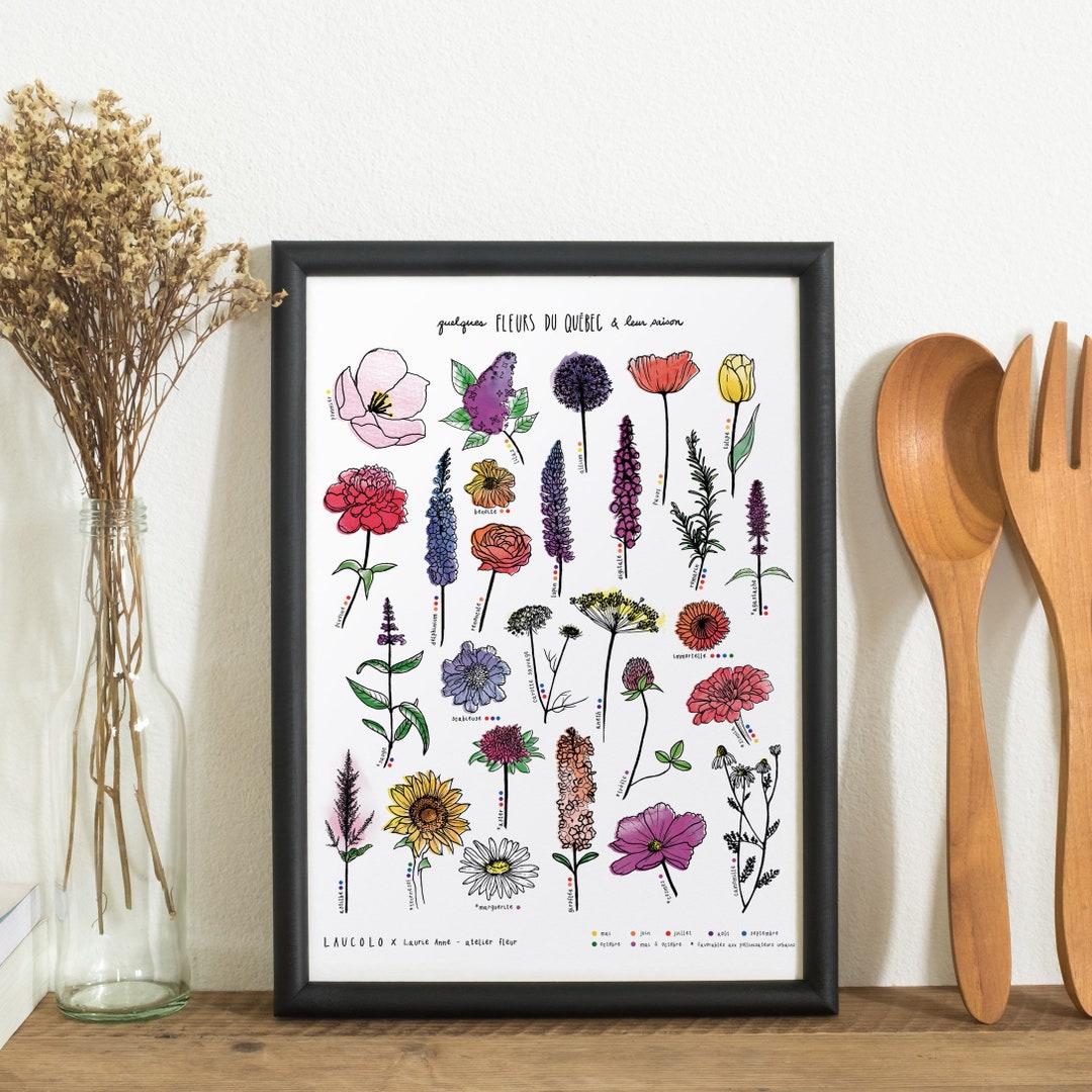 Québec Flowers Poster white Cardstock, 11X14 Inches Local Flower Print ...