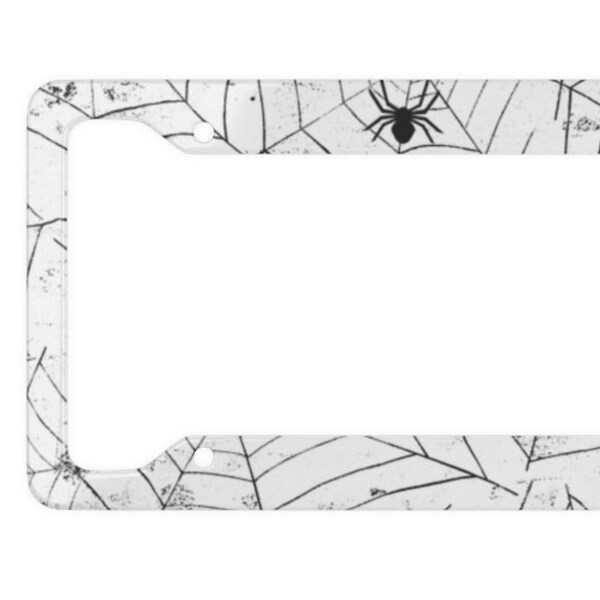 Framed Spider Web - Etsy