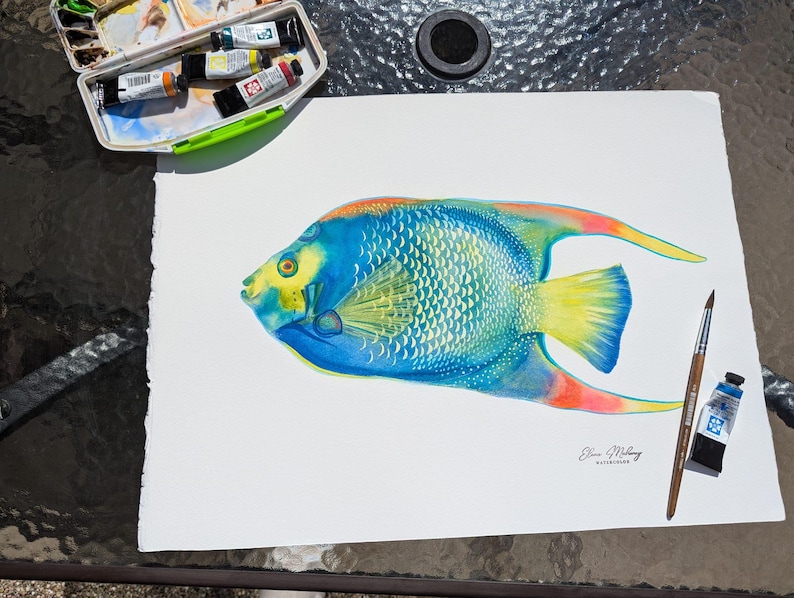 Queen Angel, Angel Fish, Beautiful Fish, Blue Queen Angel, Ocean ...