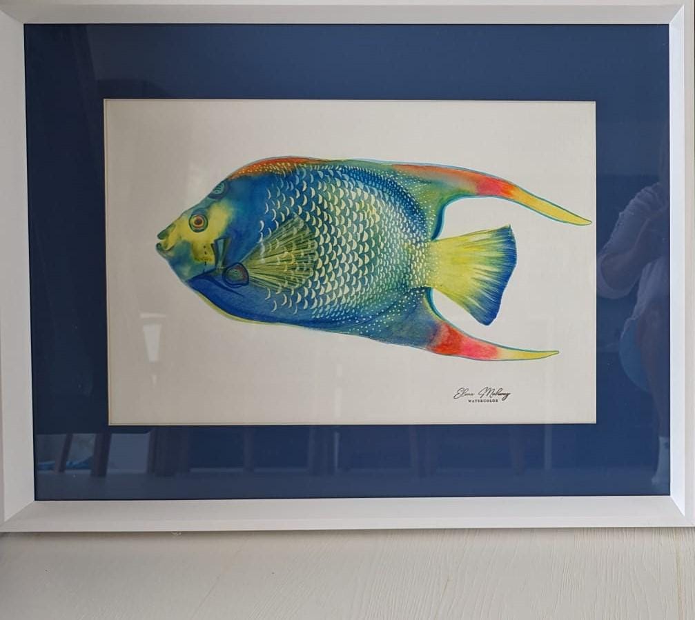 Queen Angel, Angel Fish, Beautiful Fish, Blue Queen Angel, Ocean ...