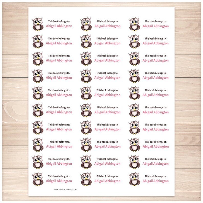 Printable Owl Book Labels Pink Brown Personalized 2 - Etsy