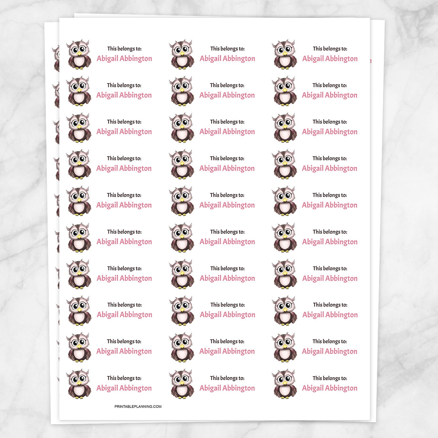 Printable Owl Name Labels for School Supplies - Pink Brown ...